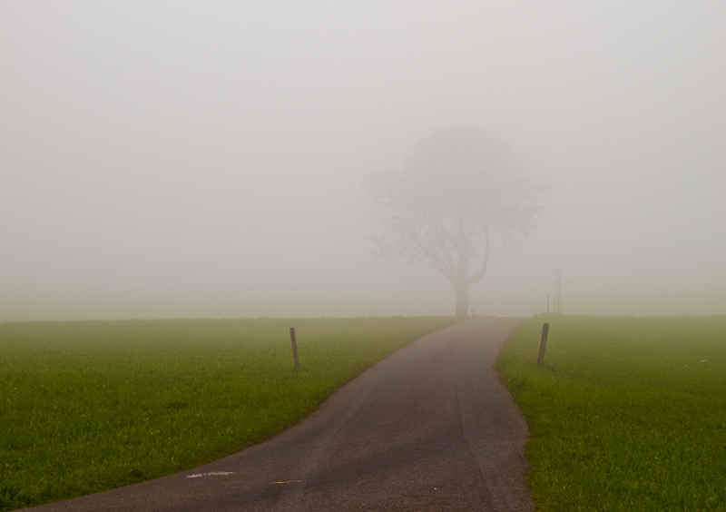 Zen, Fasten und Schweigen – ein Spaziergang im Nebel - Lassalle-Haus ...